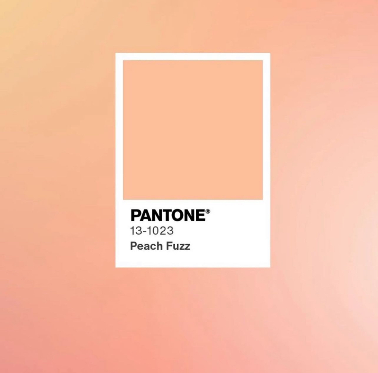 Årets färg 2024 - aRoom Studio